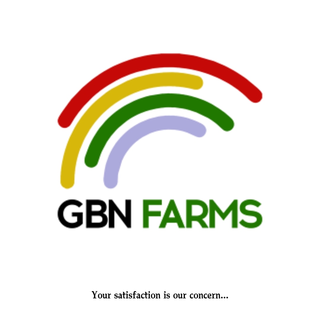 Customers Relationship Officer at GBN Farms | HotNigerianJobs